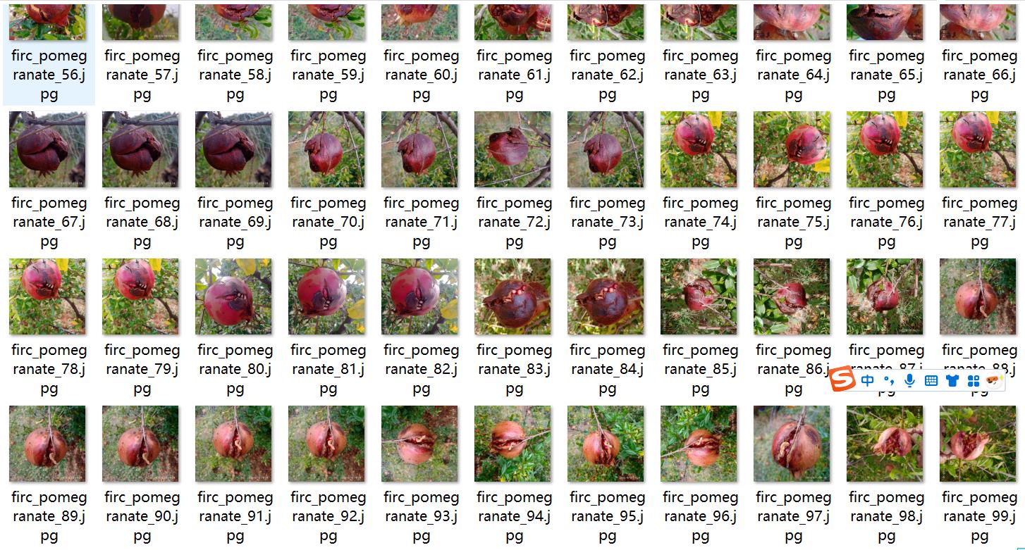 基于yolov11的石榴病害检测系统python源码+pytorch模型+评估指标曲线+精美GUI界面-CSDN博客