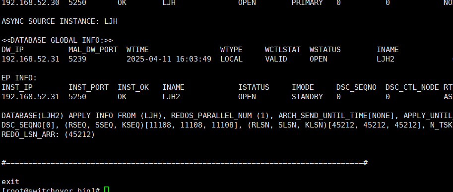 Linux下达梦数据库-DM8异步主备集群部署_达梦 linux-CSDN博客