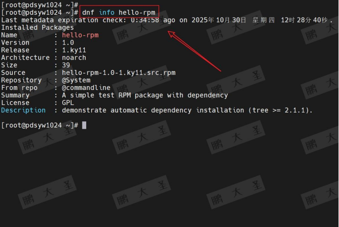 国产系统小技巧：用dnf优雅地安装本地.rpm包_dnf 安装 rpm包-CSDN博客