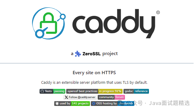 一键HTTPS、零配置部署：替代 Nginx 的开源神器！_caddy ssl-CSDN博客