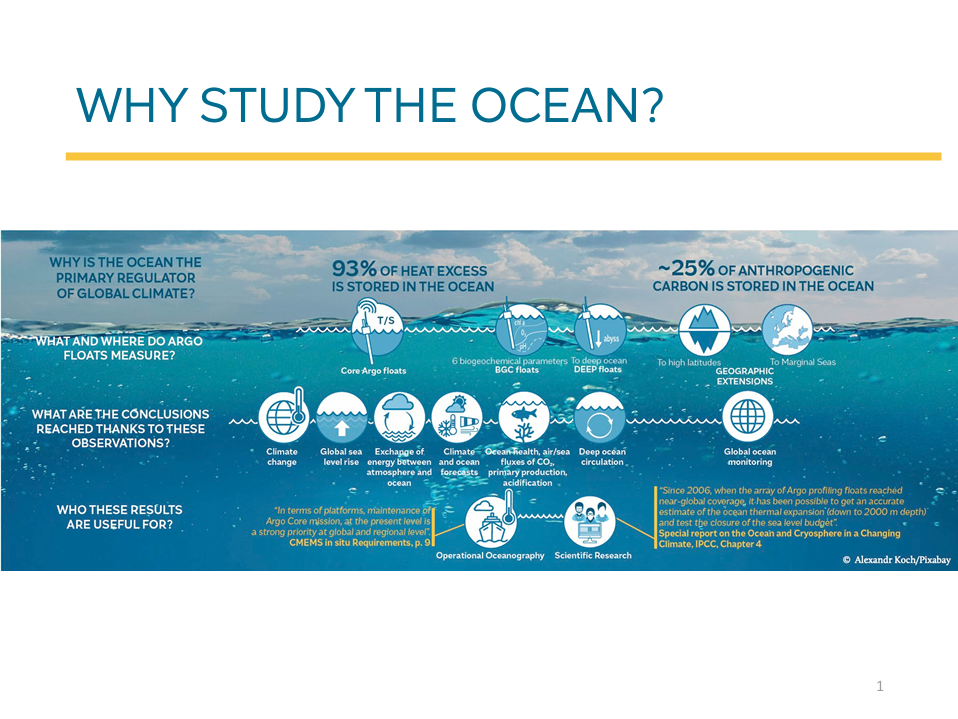 Bgc-Argo数据如何获取以及可视化数据筛选工具介绍-CSDN博客