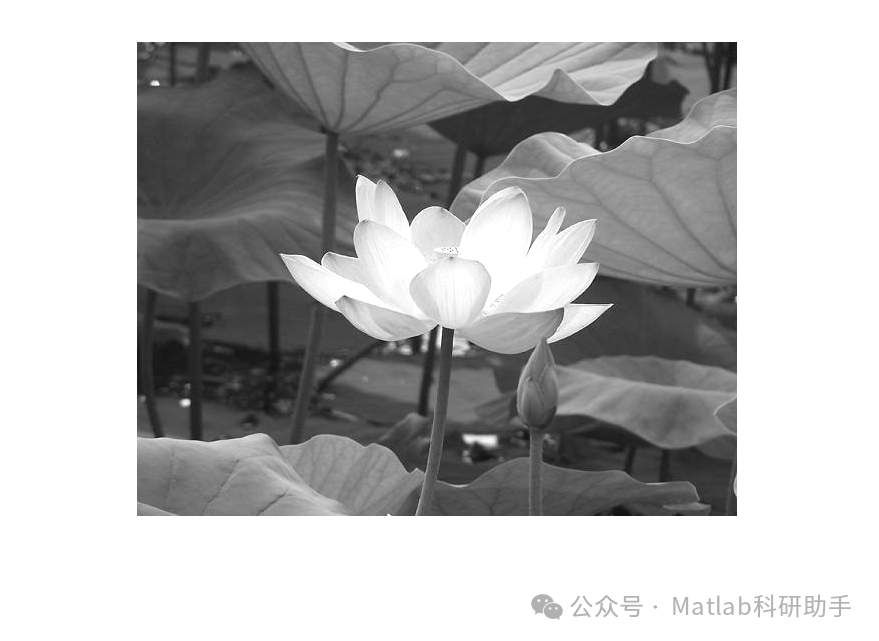 【图像处理】图像的边缘检测附Matlab代码_canny边缘检测算法matlab代码-CSDN博客