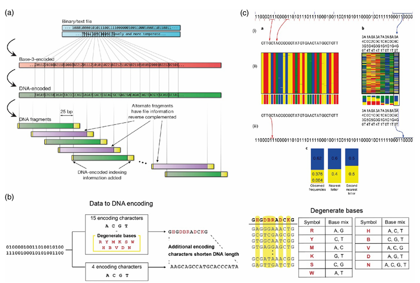 也就是说，DNA能当硬盘使？-CSDN博客