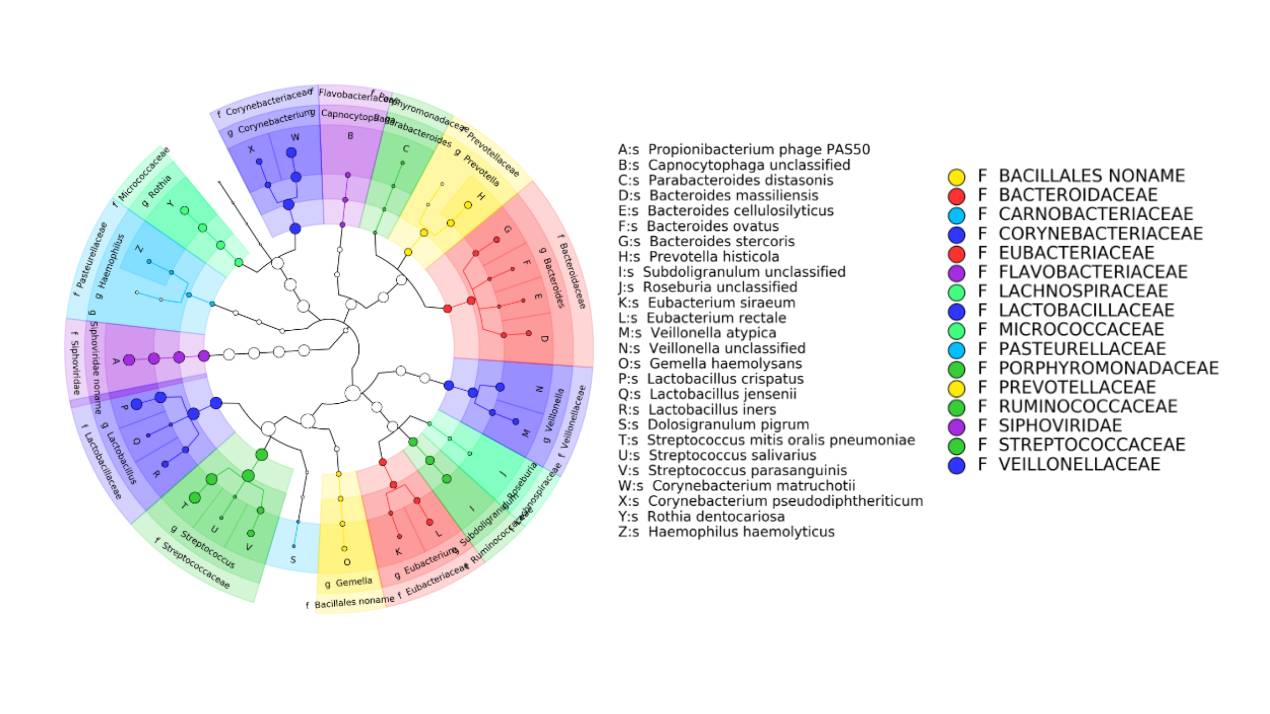 教程 | 用MetaPhlAn2分析微生物物种丰度-CSDN博客