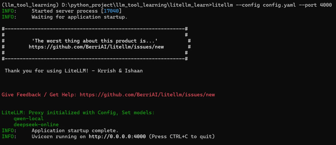 LiteLLM：简化大模型 API 调用的工具，统一接口访问 100+ LLMs_litella大模型接口使用-CSDN博客