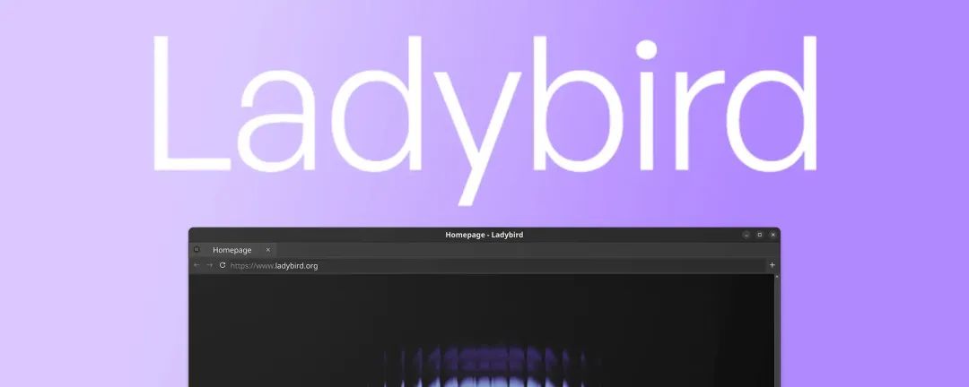 狂揽 42.5k 星！全新独立开源浏览器，不再基于谷歌内核！_ladybird browser-CSDN博客