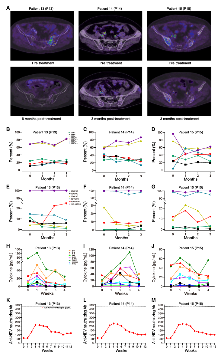 25年《Cell》:NDV-GT实现90%实体肿瘤控制率_ndv-gt临床二期进展-CSDN博客
