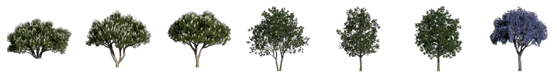D5素材库更新丨全球常用植物精选 Vol.3丨260+动态植物上线_d5本地素材库-CSDN博客