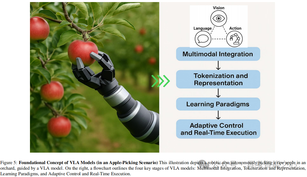 VLA模型最新综述！近80多个VLA 模型，涉及架构、训练，实时推理等-CSDN博客