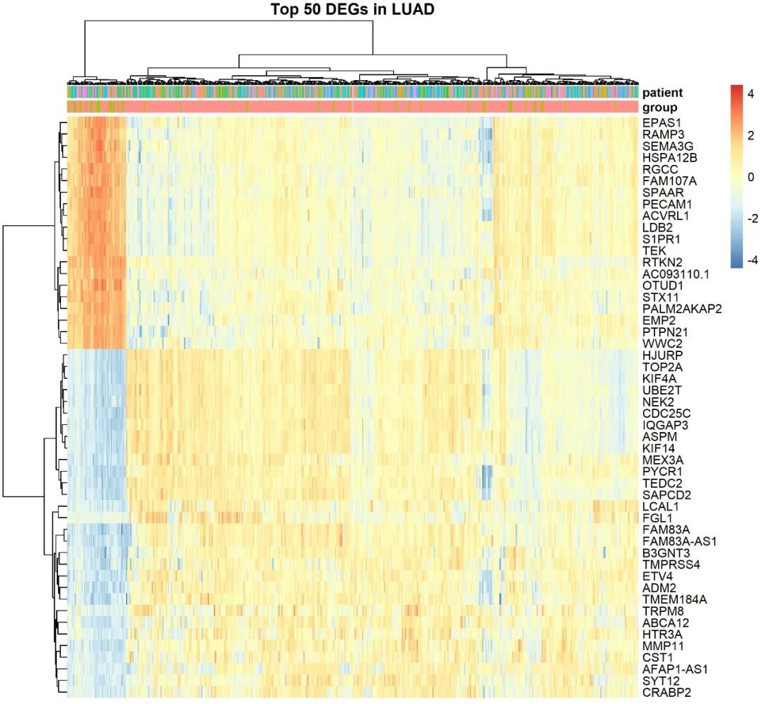 RNA 50.轻松搞定TCGA-LUAD基因筛选-CSDN博客