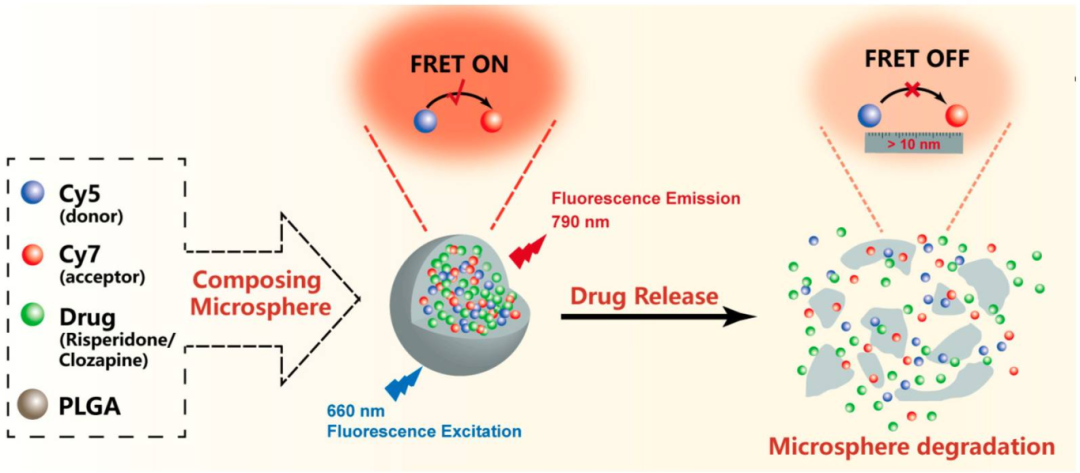 蛋白互作检测之FRET荧光共振能量转移：分子间距离的微妙舞者（二）_fret分子互作-CSDN博客