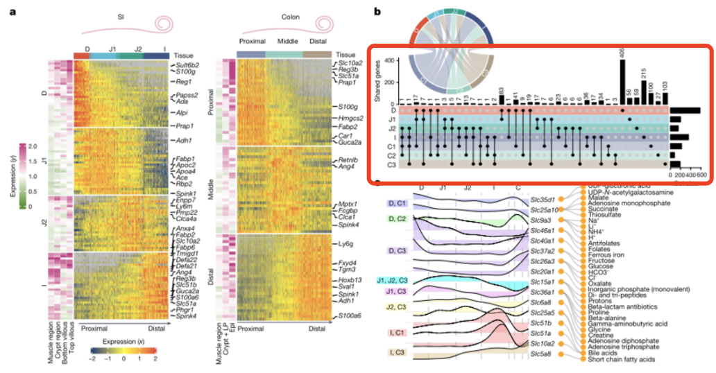 CNS必备UpSet图，这样画，这样看！-CSDN博客