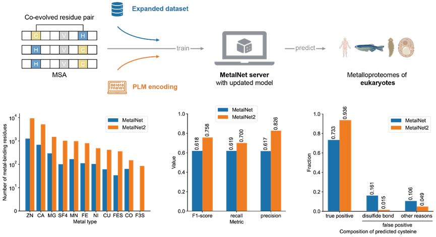 号外 | 王初课题组开发了用于预测蛋白质组中金属结合位点的在线服务器MetalNet2...-CSDN博客