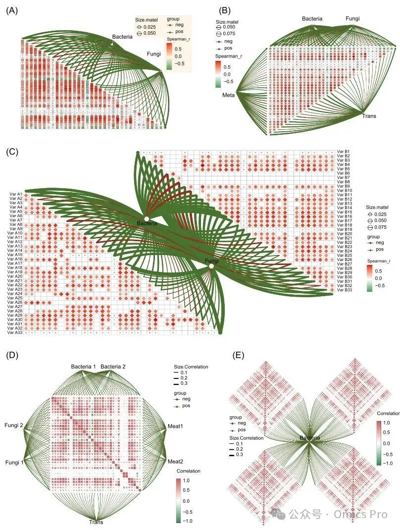 微生物组网络分析ggClusterNet2-CSDN博客