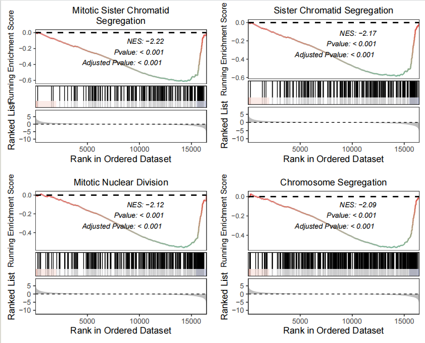 GseaVis | GSEA富集分析可视化利器_r语言_mutouyuaichi-永洪数据分析社区