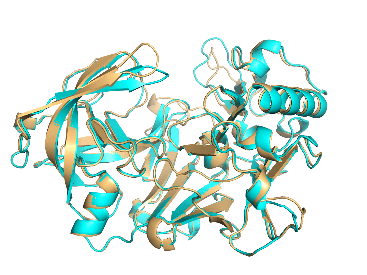 pymol-FAQs-5：_pymol怎么显示氨基酸的名字-CSDN博客