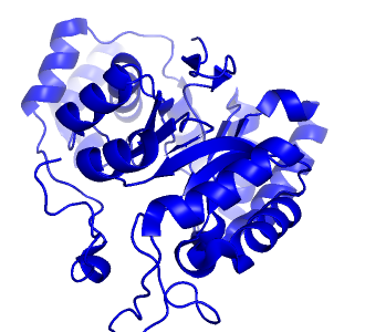pymol入门教程-1：-CSDN博客
