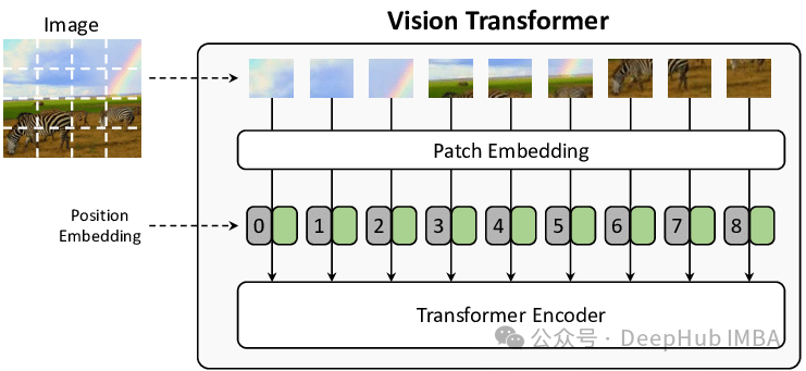 Vision Transformer中的图像块嵌入详解：线性投影和二维卷积的数学原理与代码实现_嵌入块-CSDN博客