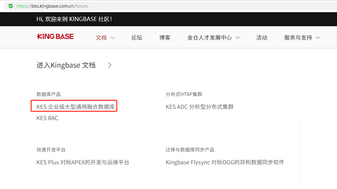 KingBase(金仓数据库）容器化体验_kingbase 容器-CSDN博客