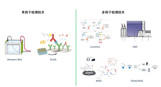 样本量太少？想测得却太多？MSD技术来帮你！_u-plex的电化学技术-CSDN博客