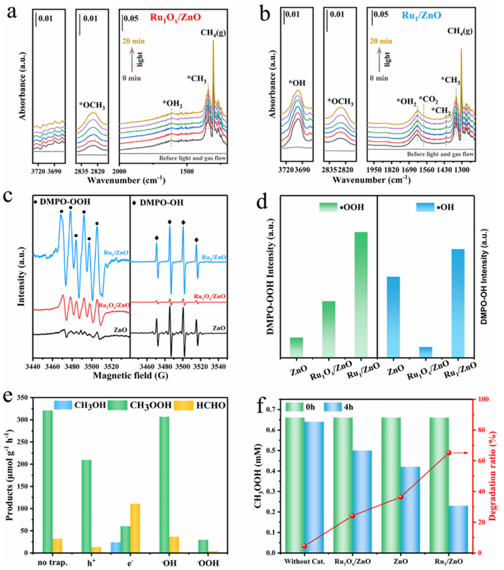 新型催化剂！浙江大学姚思宇，新发JACS！-CSDN博客
