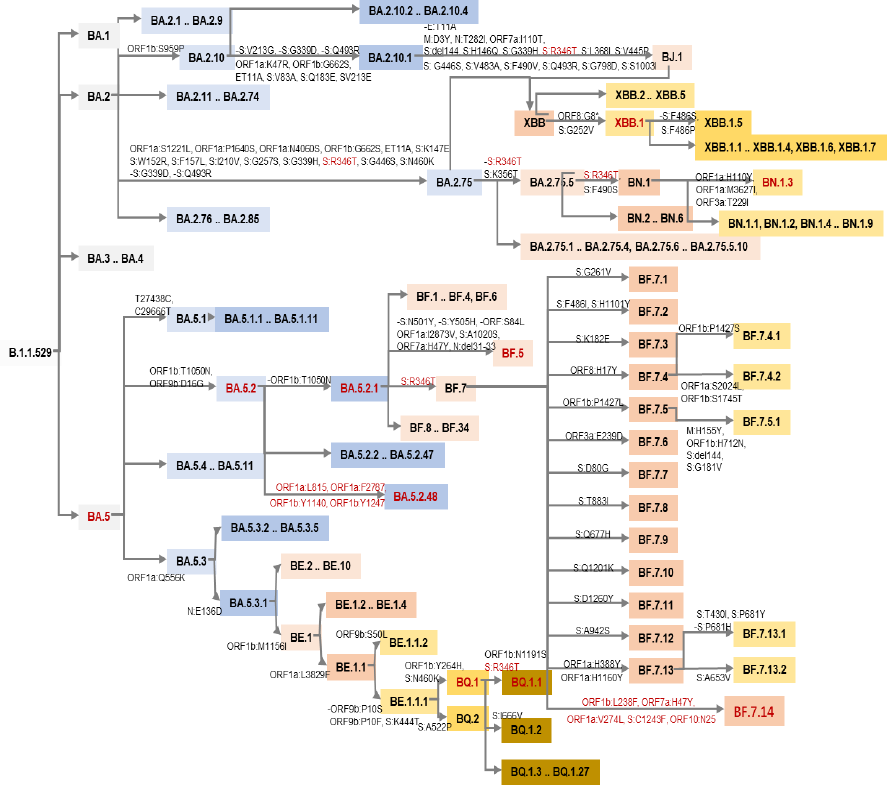 战“疫”新动向：KP.2蛋白-CSDN博客