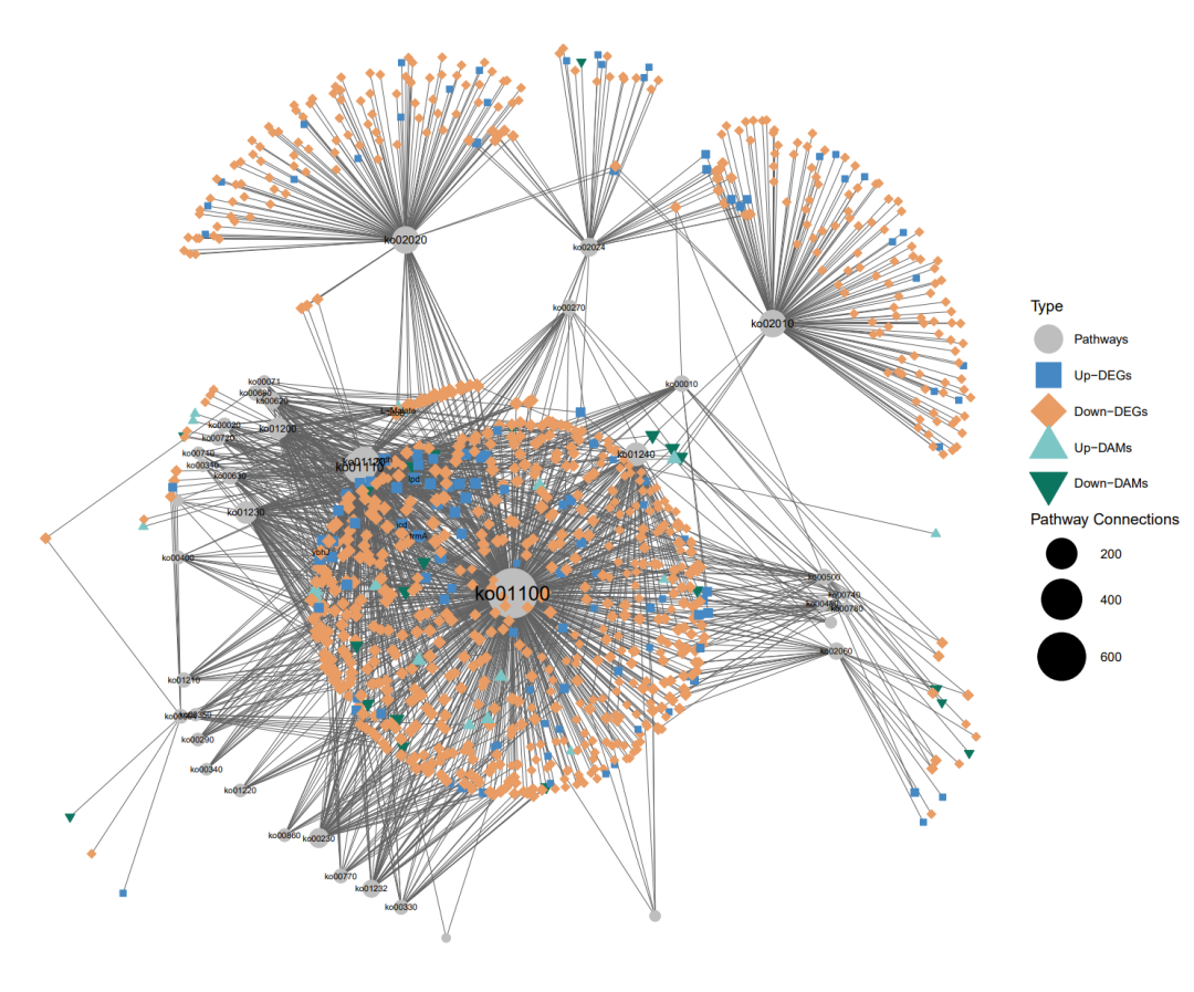 多组学联合分析，不能只知道KEGG，还有它们！_mofa联合分析-CSDN博客