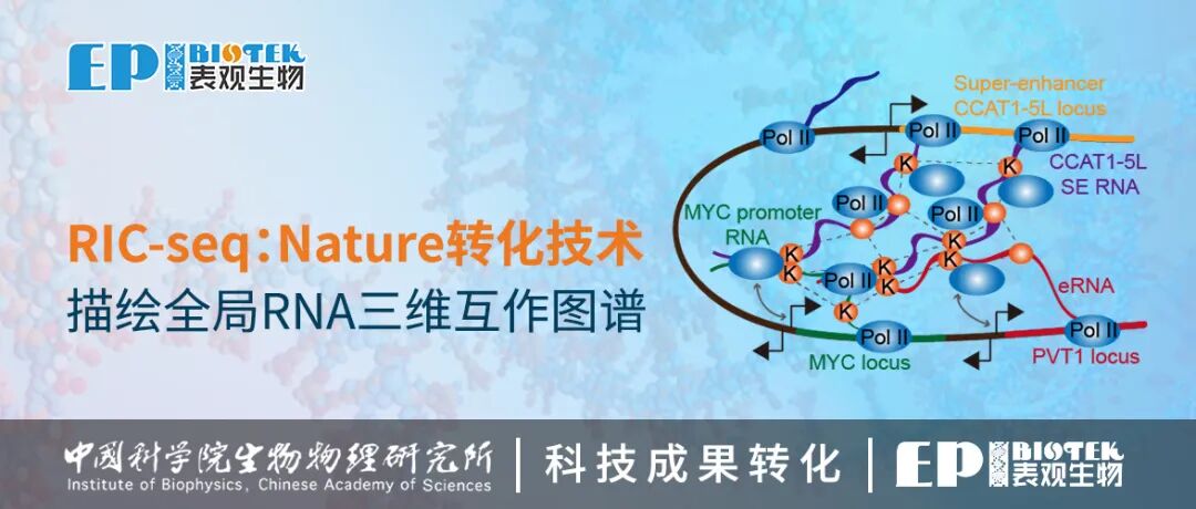 中科院Nature级RIC-seq技术，捕获RNA相互作用位点-CSDN博客