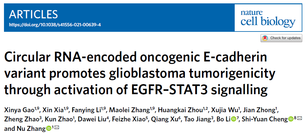 经典思路总结—Ribo-seq技术在医学中的应用_伯远生物博客官网-CSDN博客