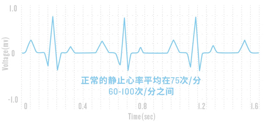 一文详解心率（HR）监测原理与应用_心率测量原理-CSDN博客