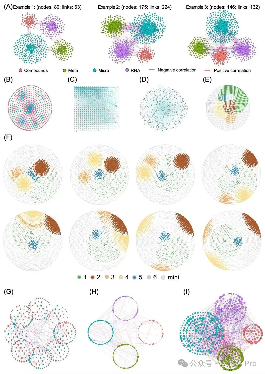 微生物组网络分析ggClusterNet2-CSDN博客