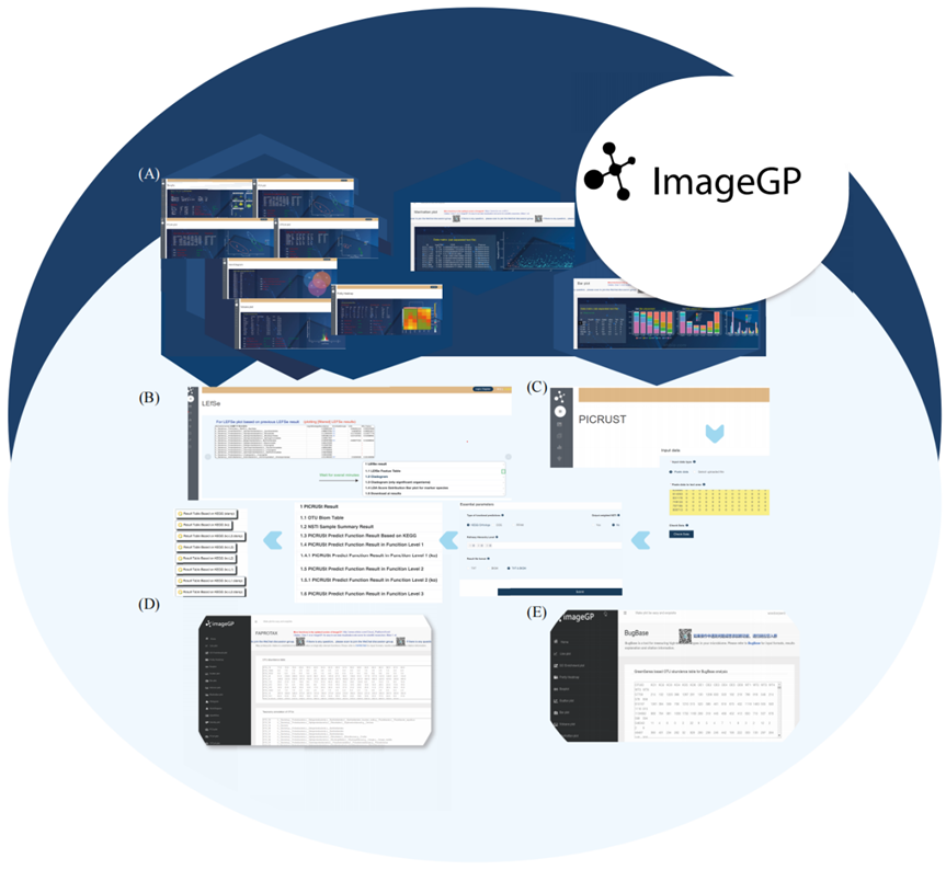 iMetaOmics | 基因组所刘永鑫组-易扩增子(EasyAmplicon)：用户友好的扩增子测序数据分析指南...-CSDN博客