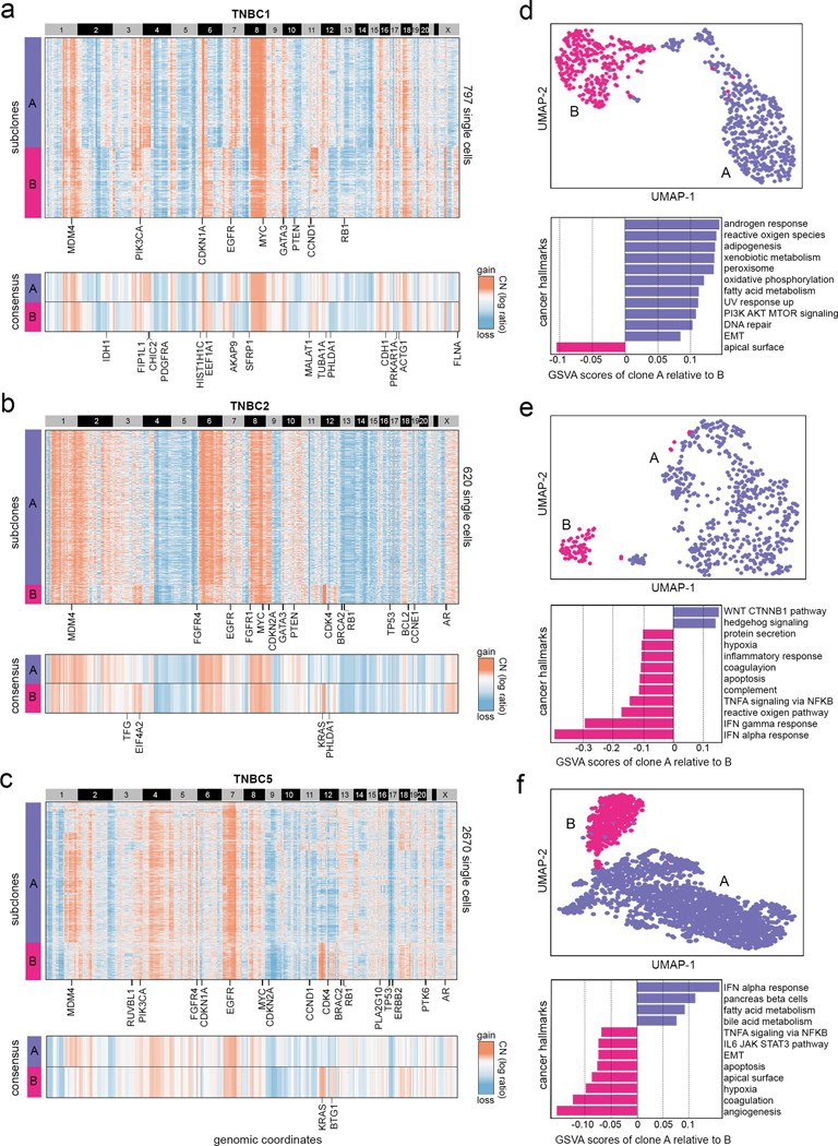 scRNA肿瘤细胞鉴定神器：copykat_copykat教程-CSDN博客