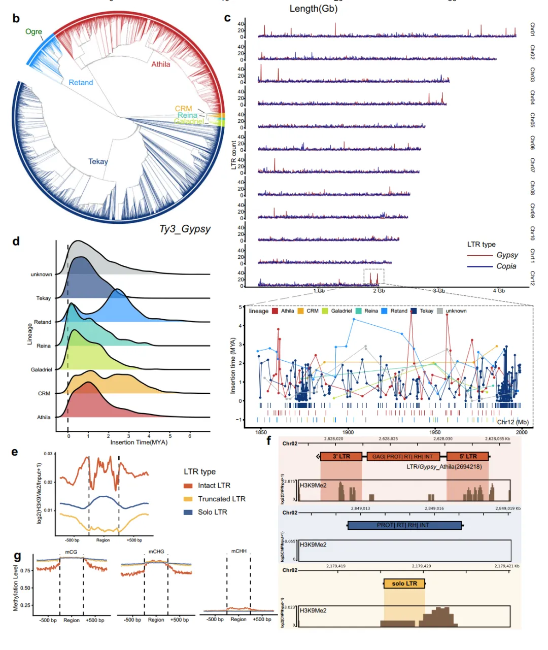 Nature Communication | 百合染色体基因组，PacBio HiFI+Hi-C，基因组大小35.6G-CSDN博客