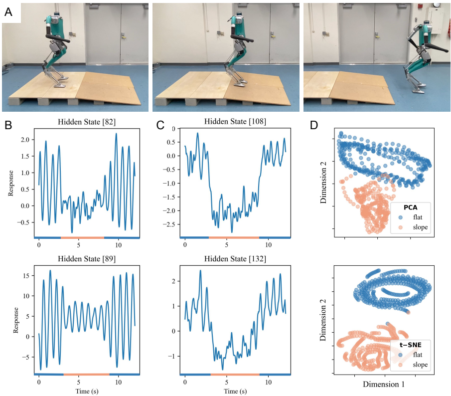 [sRobotics]Real-World Humanoid Locomotion with Reinforcement Learning-CSDN博客