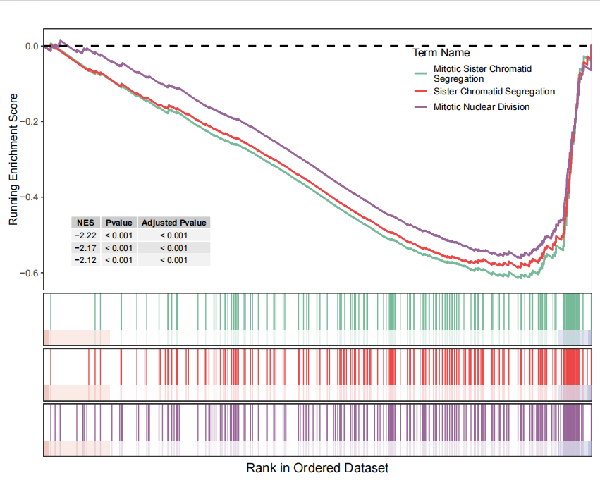 GseaVis | GSEA富集分析可视化利器_r语言_mutouyuaichi-永洪数据分析社区