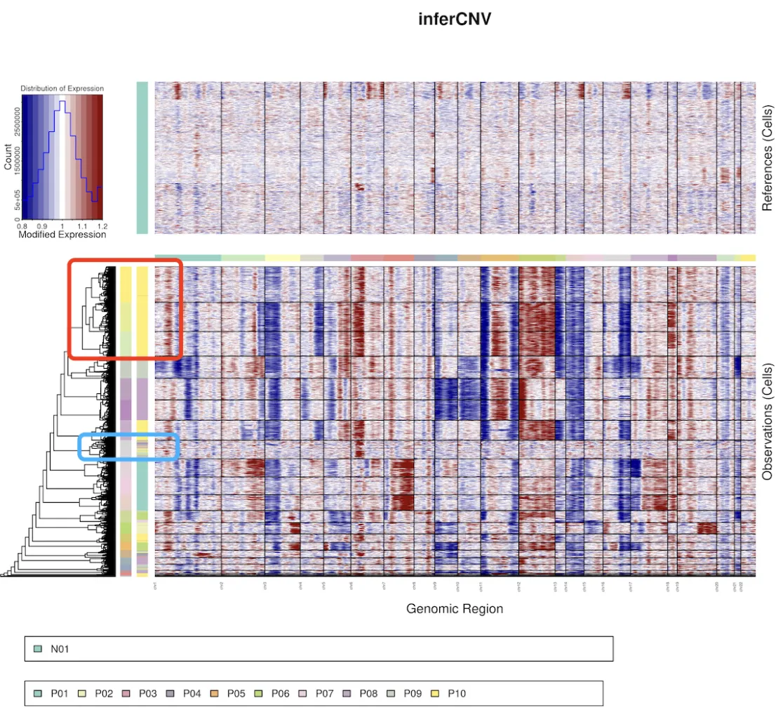 单细胞实战之inferCNV——入门到进阶(中级篇3）-CSDN博客