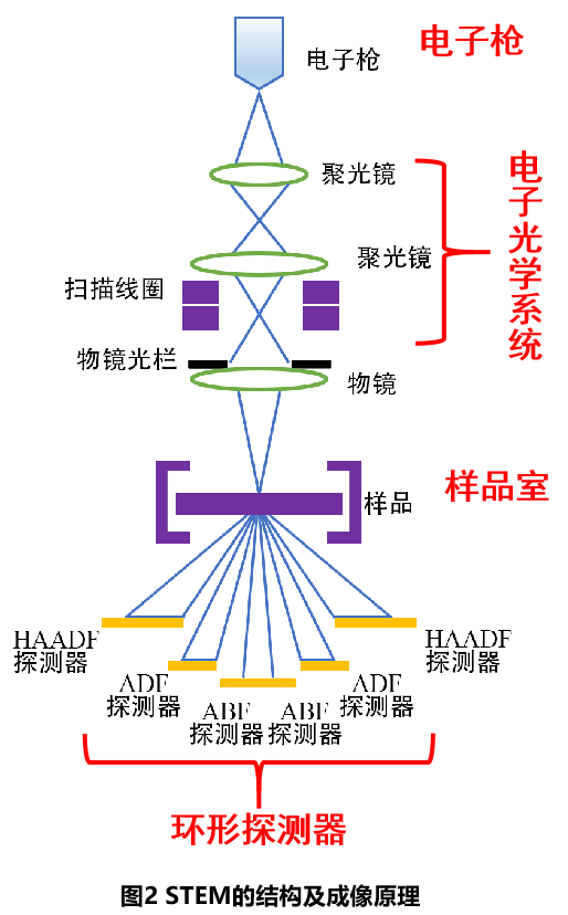 水凝胶的微观形貌表征：SEM、TEM和STEM等该如何选用？_stem-eds和sem-eds的差异-CSDN博客