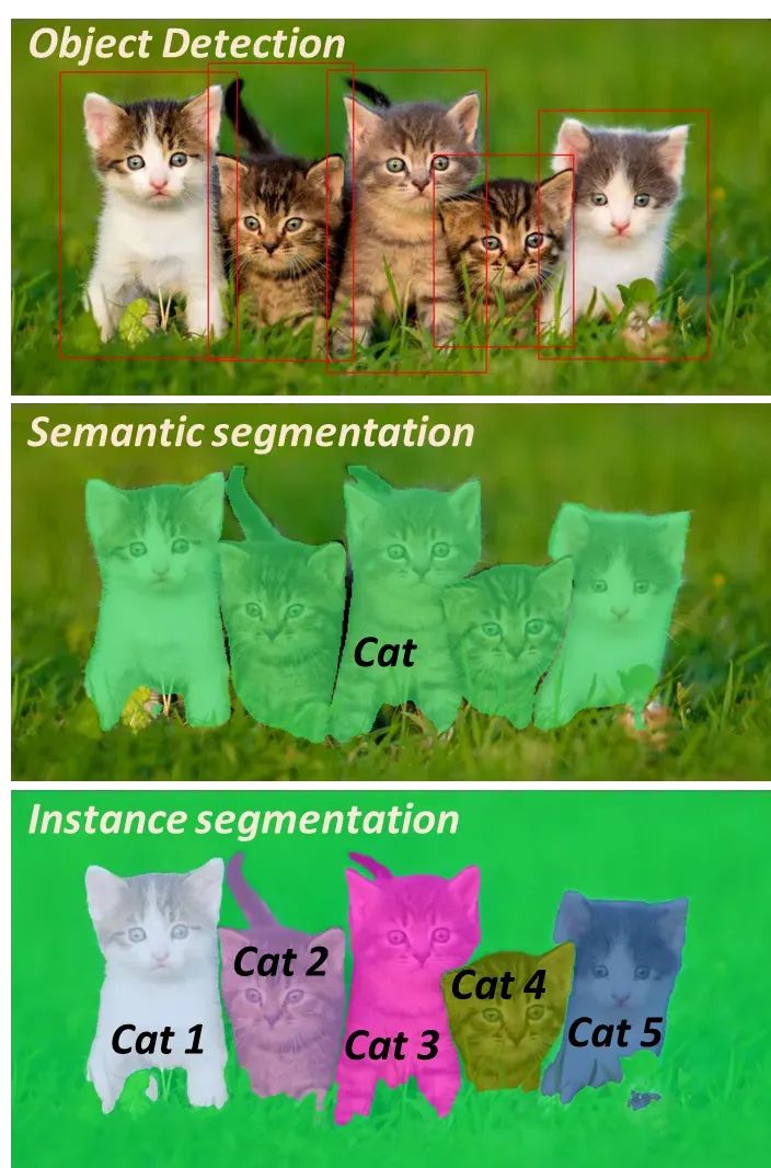 如何在自定义数据集上训练 Yolov8 实例分割模型yolov8 Seg 在自定义数据集上训练 Csdn博客