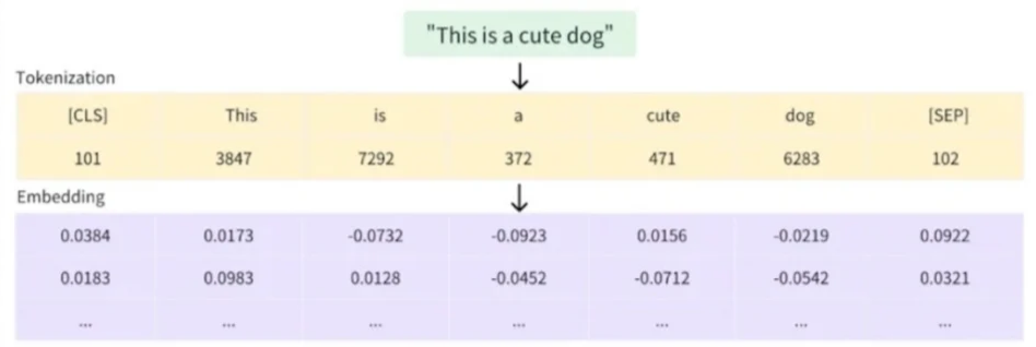 AI大模型中，BERT的Embedding到底指的是什么？图文详解！_bert embedding-CSDN博客