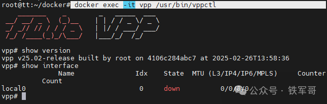 Docker + VPP强强联合：在Docker容器中玩转高性能VPP路由！-CSDN博客