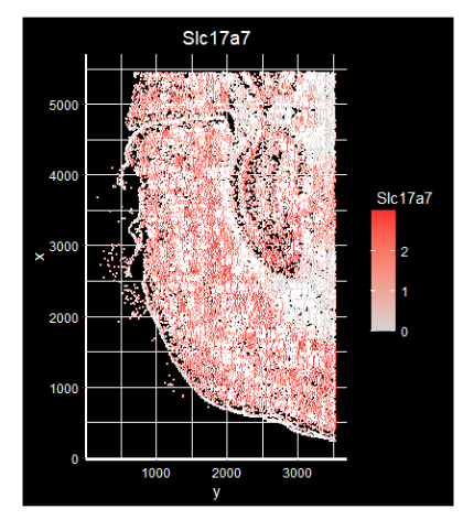 SCS 46.Seurat v5解析单细胞空转数据(Xenium)-CSDN博客