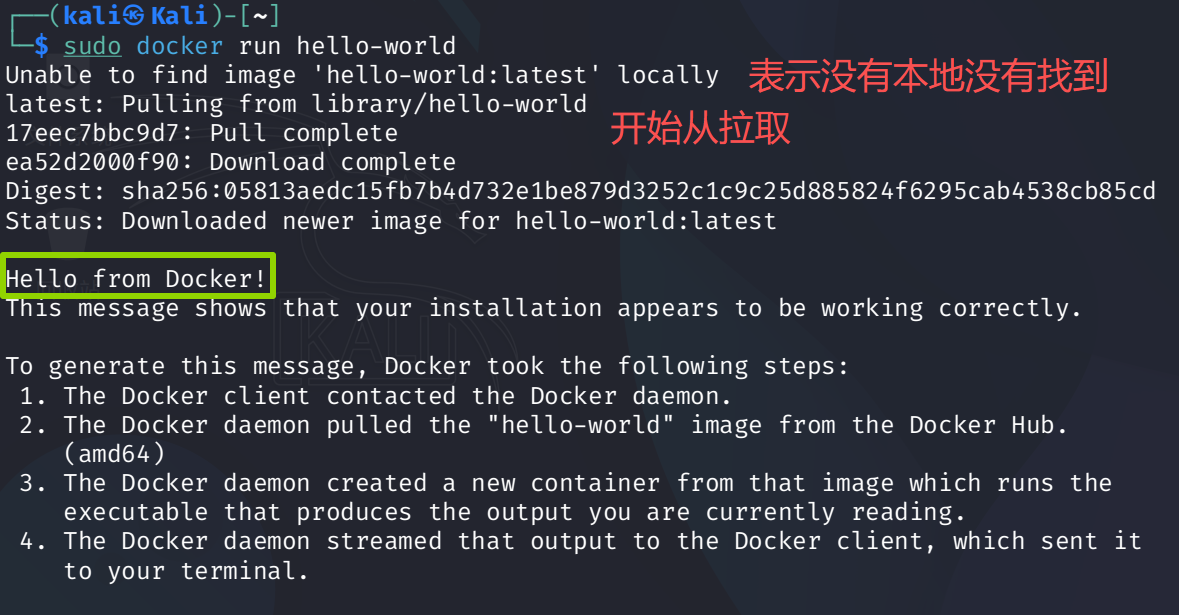 【docker】新手必看！天下苦 Docker 安装久矣！Kali/Ubuntu 最新 Docker CE 安装，新手零门槛，拒绝复杂化！-CSDN博客