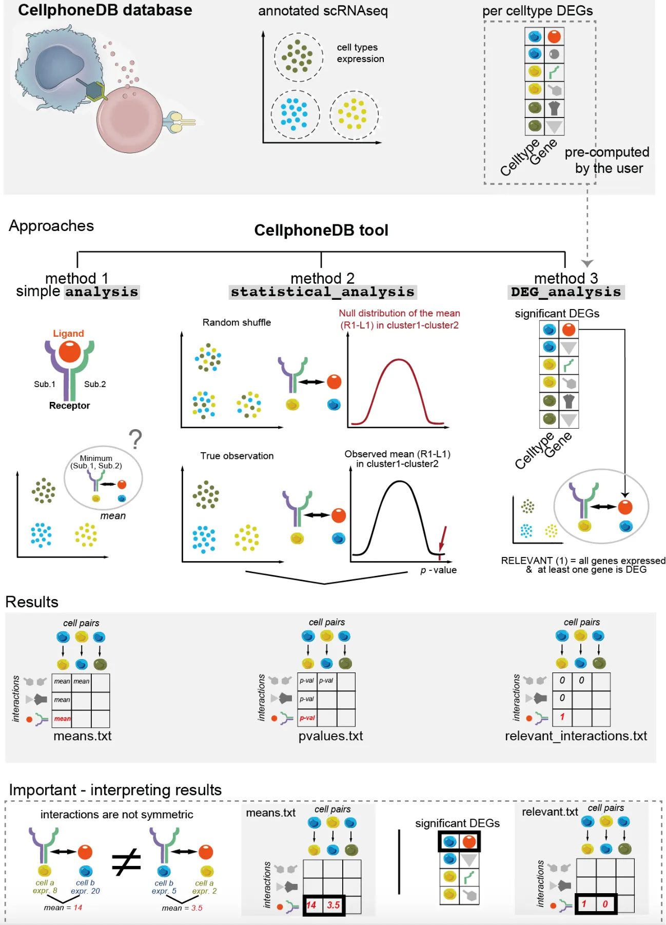 CellphoneDB的分析流程(方法二)学习-CSDN博客
