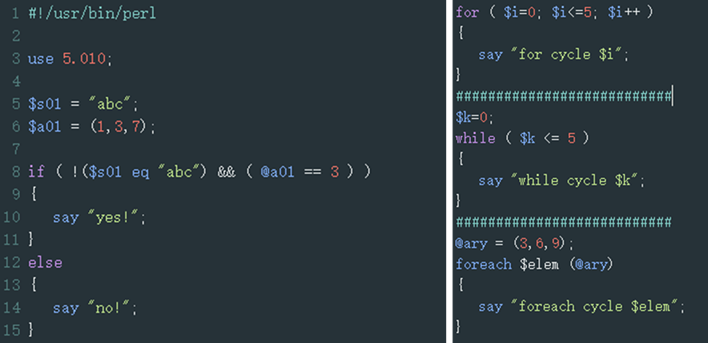Perl简介_perl是什么语言-CSDN博客
