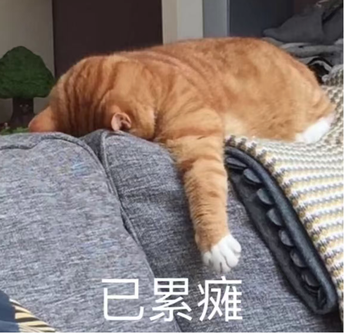 AI Coding最贵300人：2年2050亿估值，刚又被塞了160亿-CSDN博客