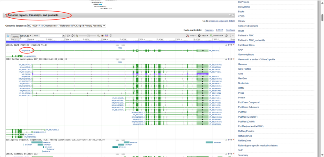 NCBI保姆级使用教程（包含如何查找CDS、启动子、5‘UTR和3‘UTR、lncRNA序列）_生物信息库 查询-CSDN博客