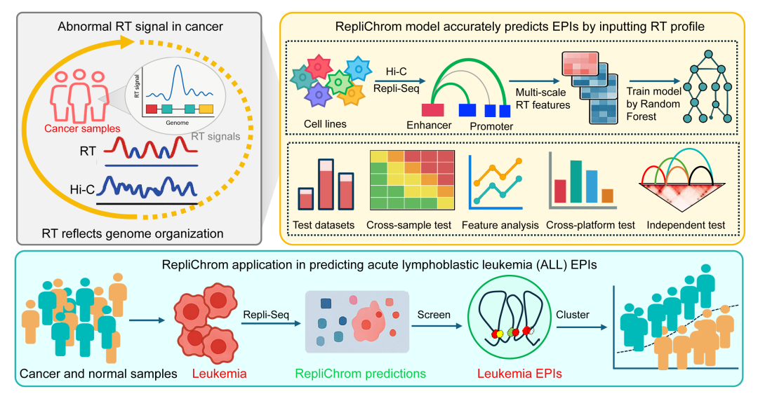 iMeta期刊 第4卷第4期 在线正式发布-CSDN博客