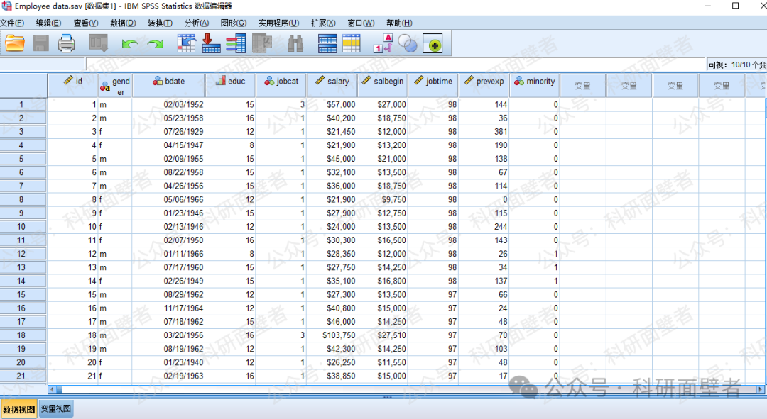 SPSS软件窗口和文件格式介绍_.sav .spv-CSDN博客