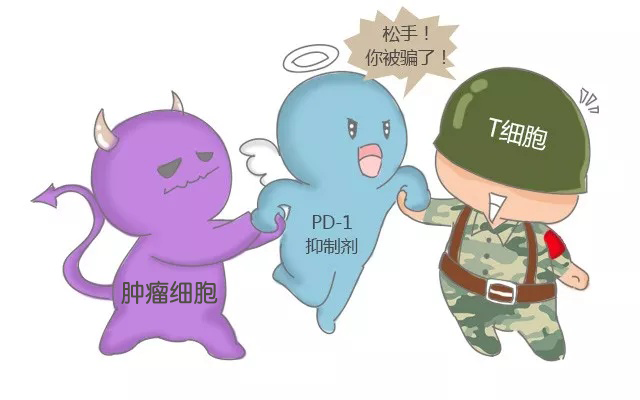 科普|PD-1/PD-L1抑制剂_pdl-1 30%-CSDN博客
